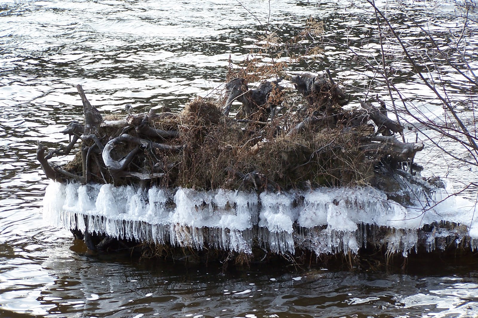 Moxie's Great Adventures: Steep Falls