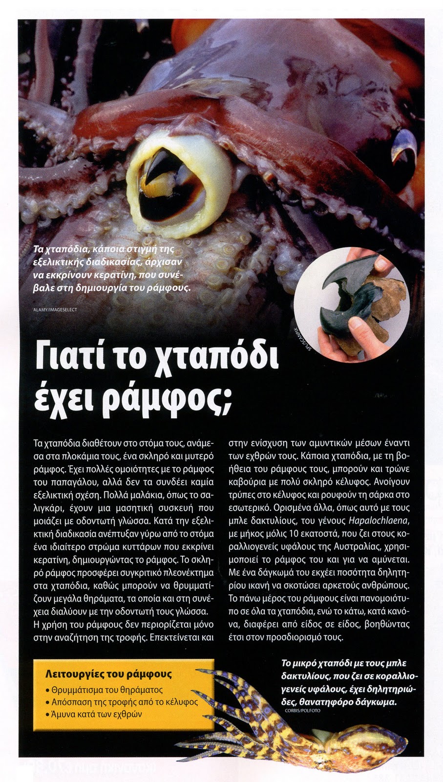 ΑΡΘΡΑ, ΔΙΑΣΚΕΔΑΣΗ, ΕΝΗΜΕΡΩΣΗ, ΑΣΤΕΙΕΣ ΦΩΤΟ & VIDEO, ΠΕΡΙΕΡΓΑ ...