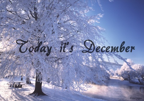 cupcakesniper: December is FINALLY HERE!