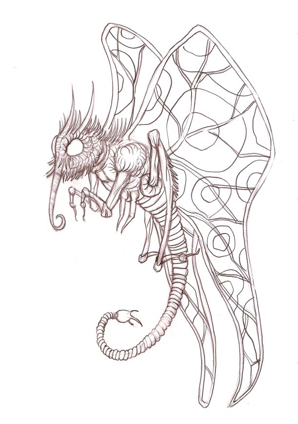 Hadas crisalidas - Imagui