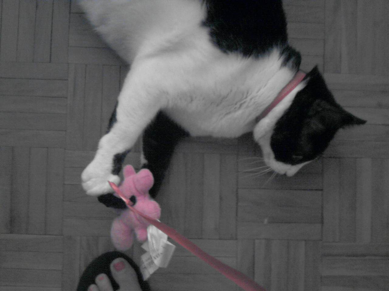 My life in notes...: Ingvar Kamprad Elmtaryd Agunnaryd ;-)