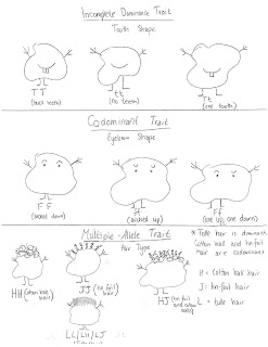 Genetics Project: Part II: Design a Species