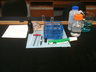 Teaching Internship in Biology: Lab 7 – Lichens and the Environment