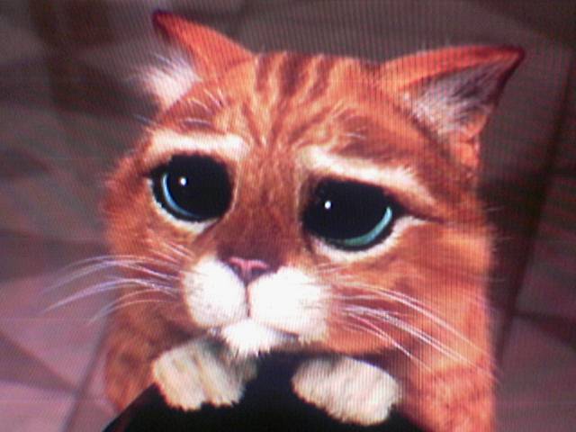 Gato con botas tierno gif - Imagui