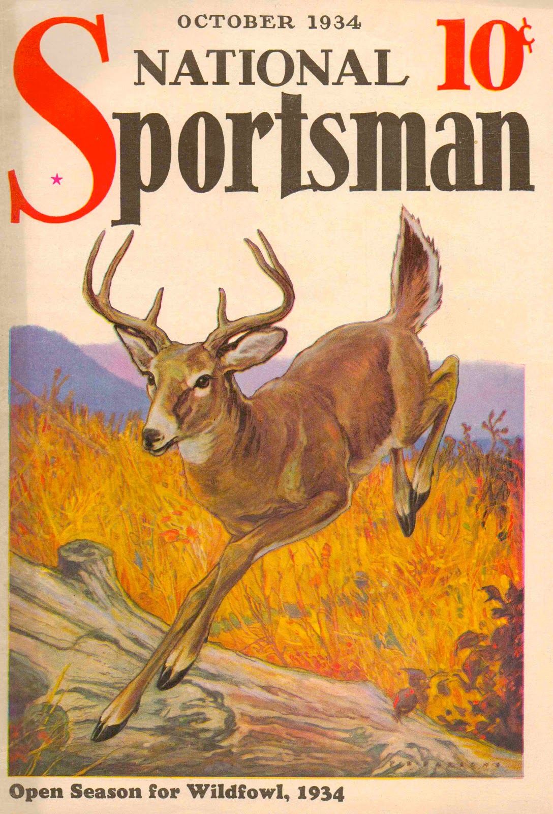 Into The Wild: Cover Artist P. B. Parsons