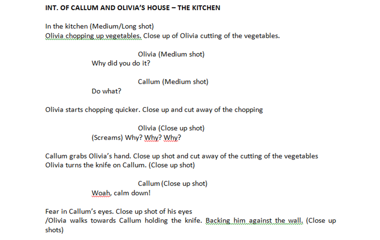 Danielle Ricketts AS Media Coursework: Pre-Production Script - Opening ...