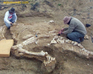 AGENTES DE CAMBIO: 2008-09-07