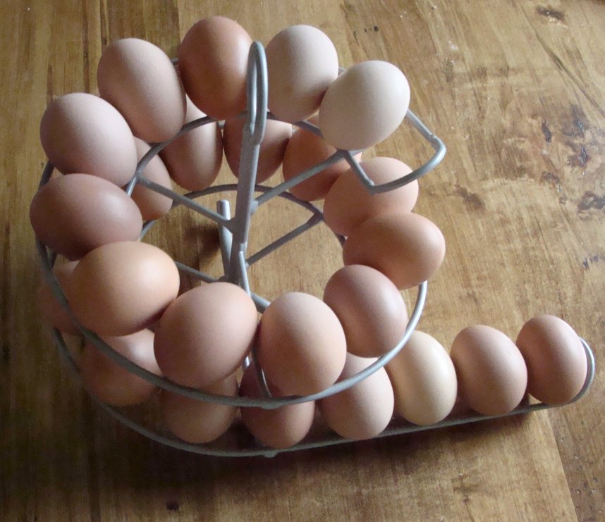 Cooking in someone else's kitchen: Egg-scalator