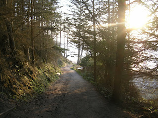 Live. Learn. Teach.: Core-distal contemplations