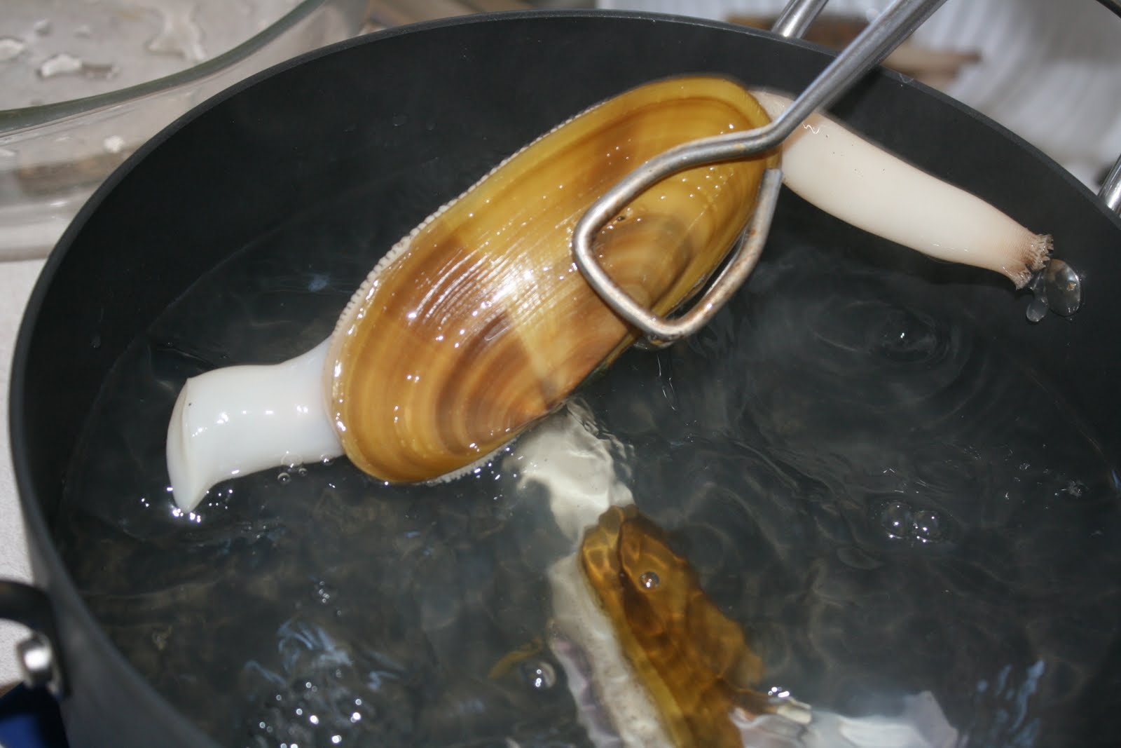 A Creative Kitchen: Fried Razor Clams