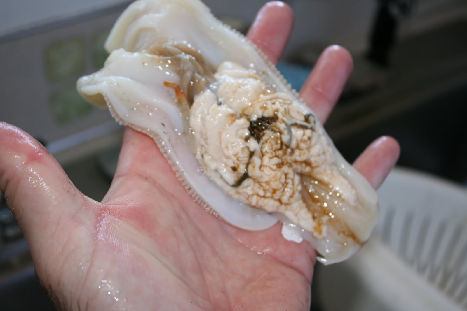 A Creative Kitchen: Fried Razor Clams