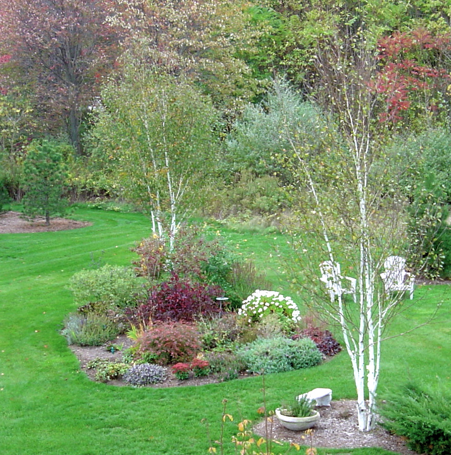 Plant Inventory at 20 Timothy : Birch Garden
