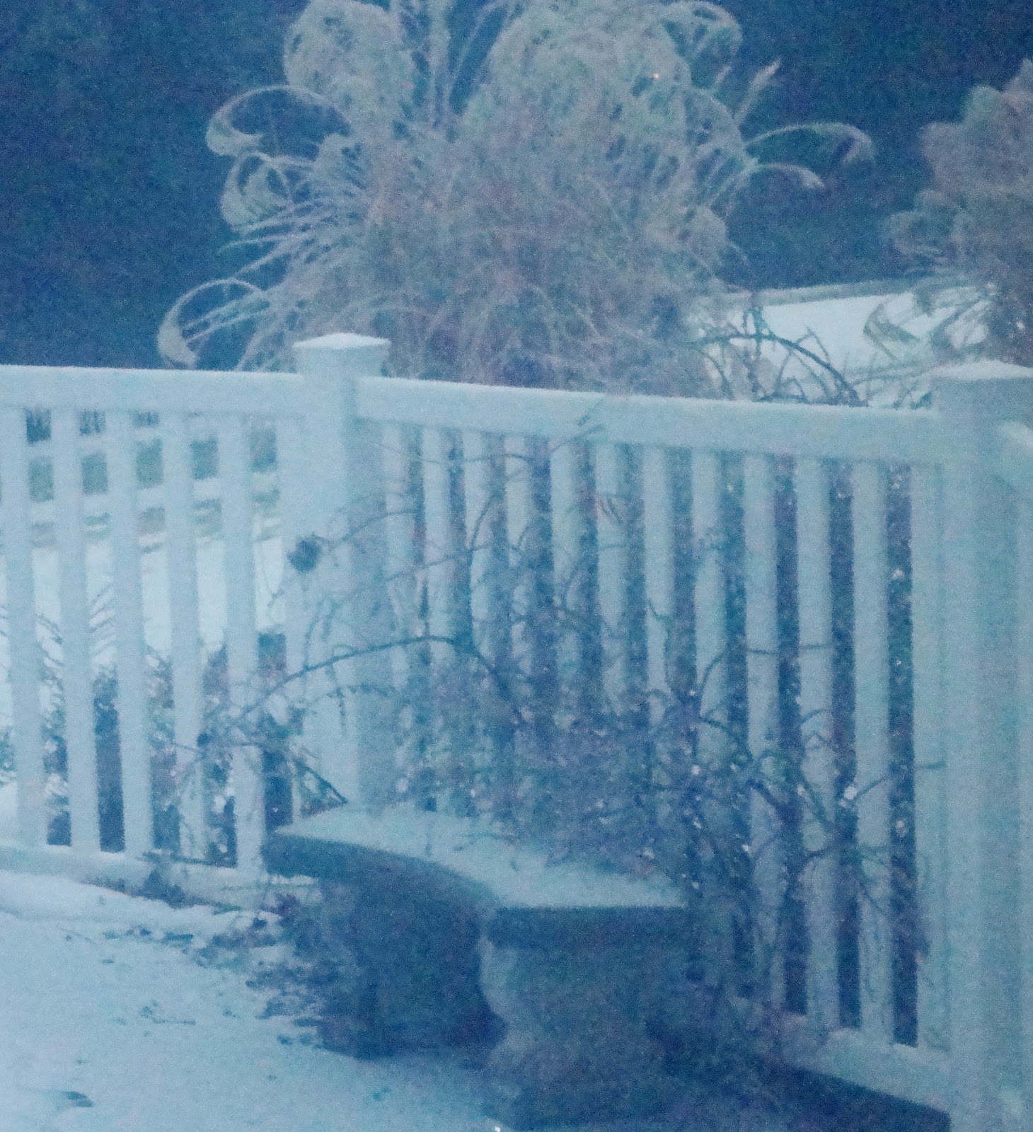 Smiling Heart: not a soft white damn