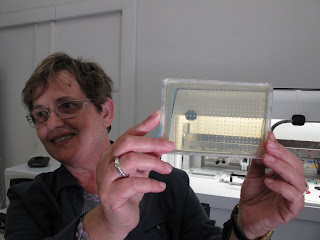 The Friedman Lab Chronicles: Singer RoToR - official liftoff