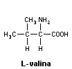introduccionalabioquimica: LOS AMINOÁCIDOS