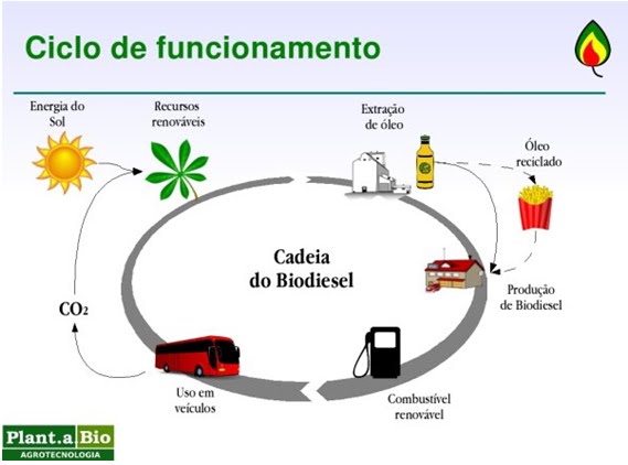Energia: boas práticas empresariais: Biocombustíveis