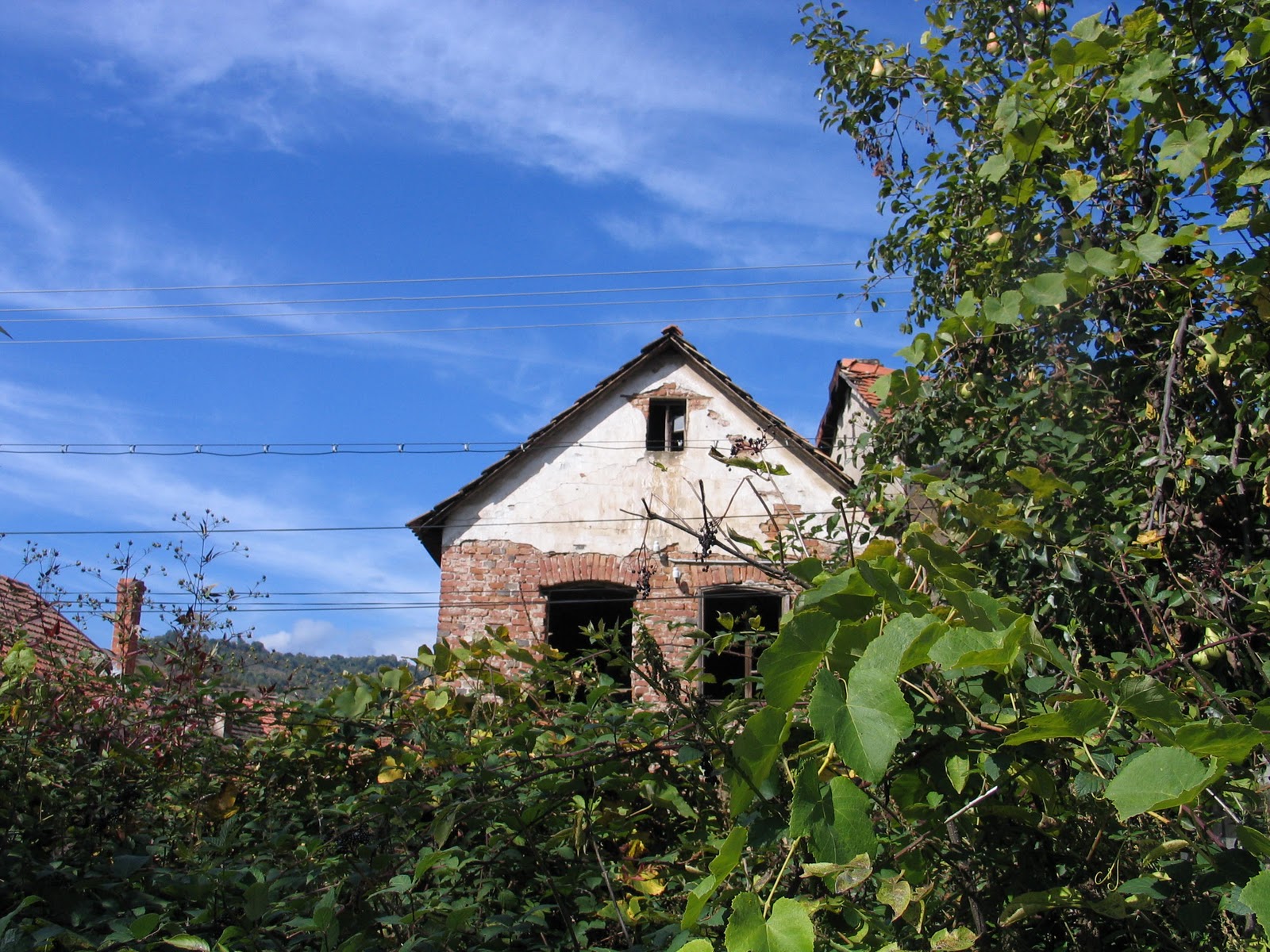 toplet: casele din toplet