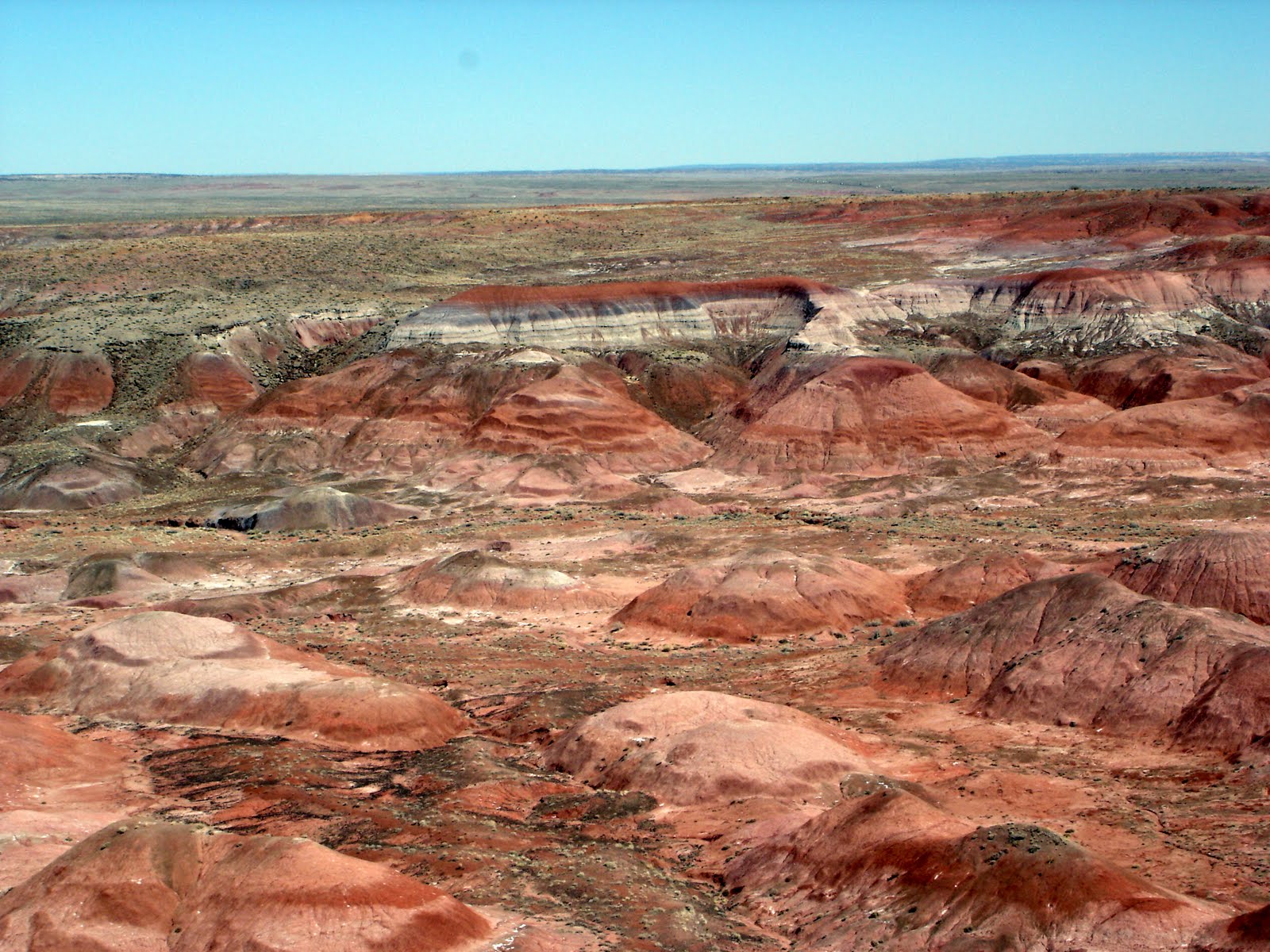 The Haley Hiatus: Arizona: The Painted Desert and the Petrified Forest ...