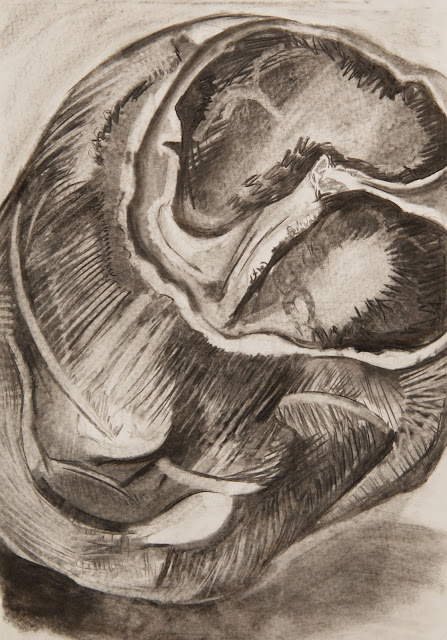 1073937473: Primary Drawing- Organic Form- Charcoal, Graphite.