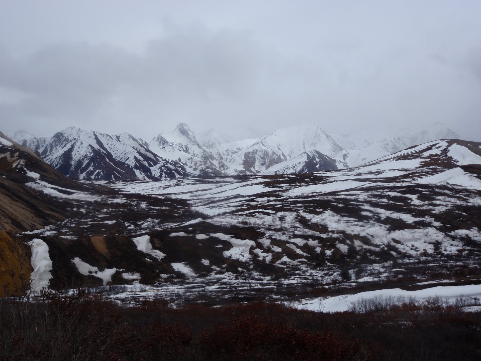Jill Outside: Pictures of Denali