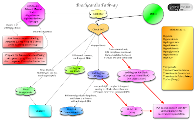 SMC-ASU-ED: Bradycardia Pathway Flow Chart