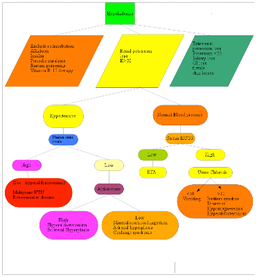 SMC-ASU-ED: Hypokalemia Flow Chart