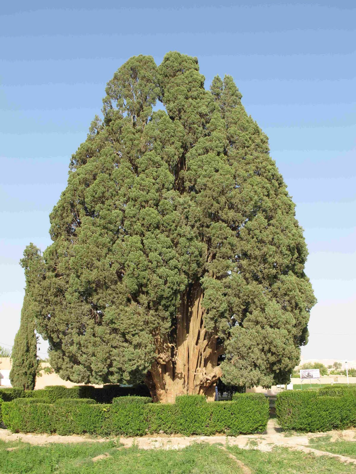 Big Trip 2010: Final Days in Iran (June 23-27)