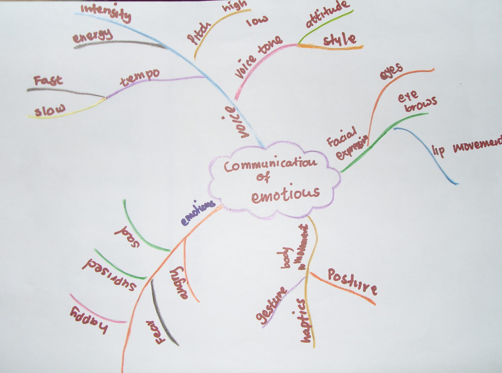 FINAL YEAR PROJECT: December 2010