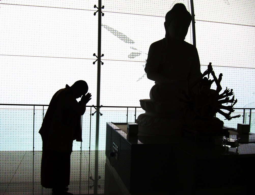 a little kyurii a day