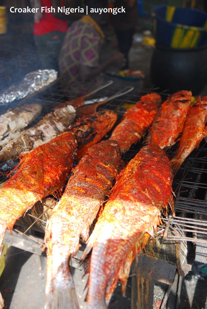 Siu KeOnG .小强流浪记: Croaker Fish at Nigeria
