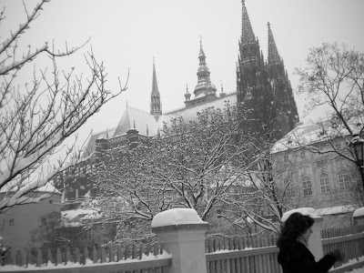 The Lotus Sutra Chronicles: Religious Relic of St Vitus Cathedral