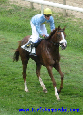 Turf Shamardal: Premio Fol Parade