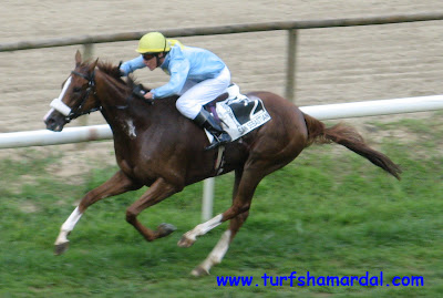 Turf Shamardal: Premio Fol Parade