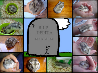 Ardilla o Hamster Ruso: Salud y enfermedades