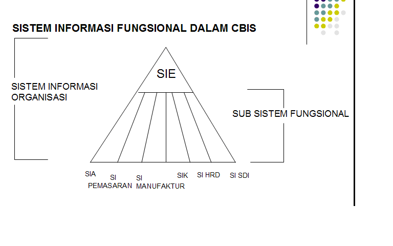 IT SRIASIH: Pengantar CBIS (Computer Based information System) (Chapter 02)
