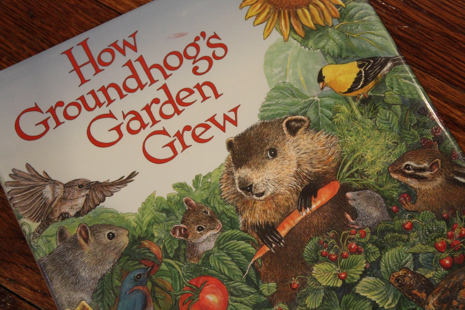 Our little Brown house: February 2011