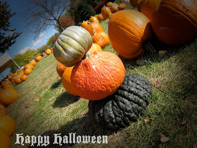 gOt cHiKiN?: Freebie Halloween Digi Kit!