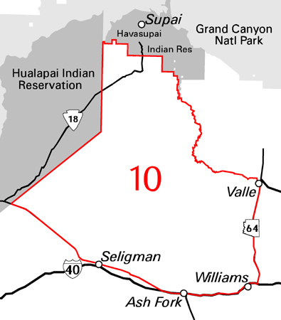 Jay Scott Outdoors: Countdown to Arizona Elk Hunting 2010