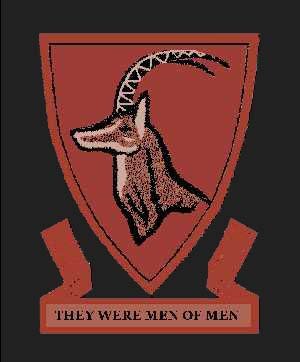 Allan Wilson Tec High: Amandas and Allan Wilson