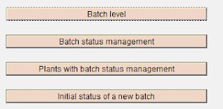 SAP MM Expert: Batch Management