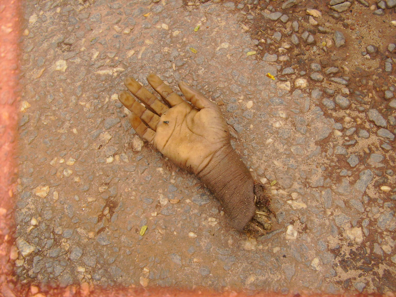 Moses Dotsey Aklorbortu: MAN'S HAND CHOPPED OFF (P3.)