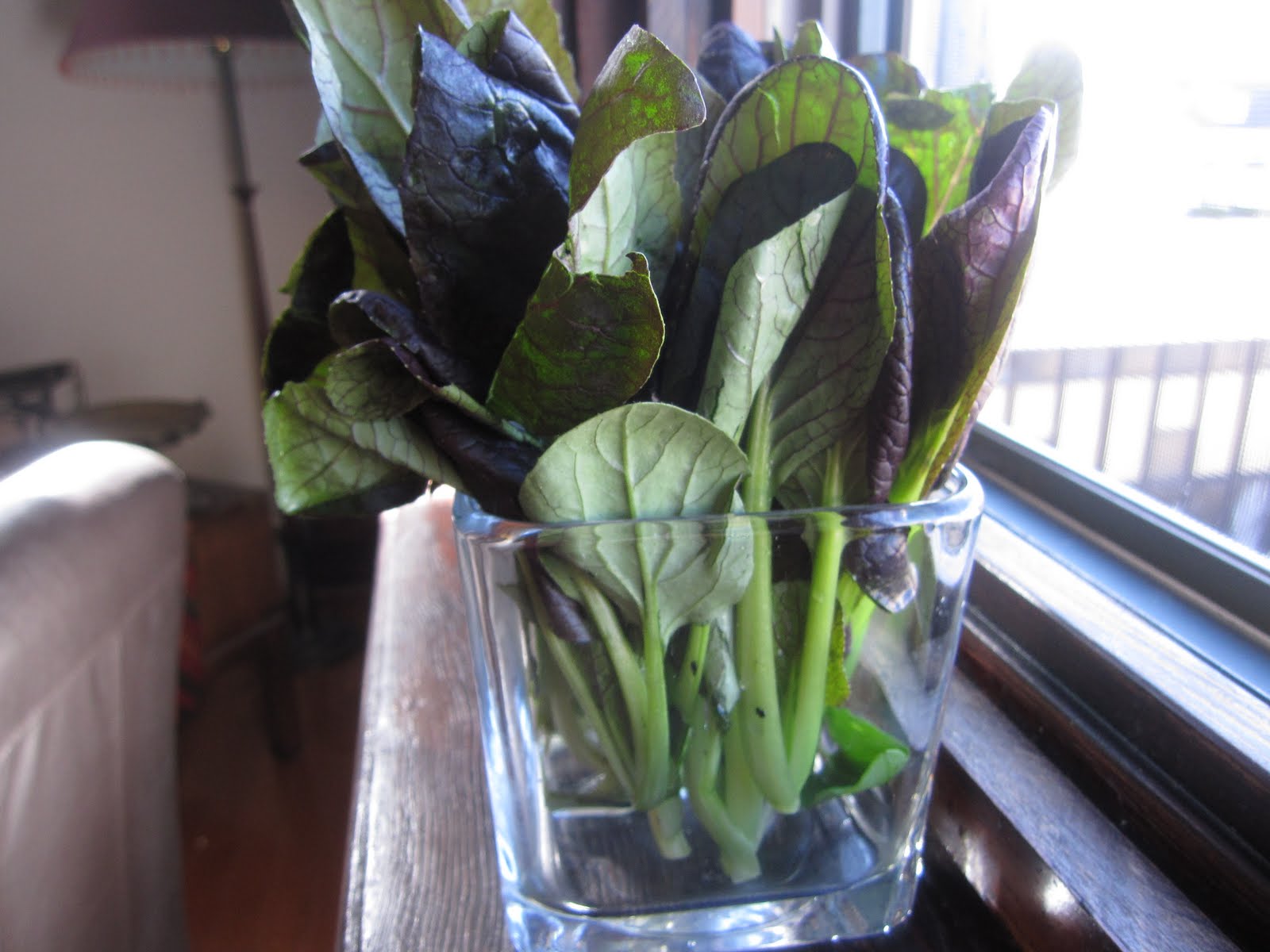 Once Upon A Feast - Every Kitchen Tells Its Stories: Signs of Spring in ...