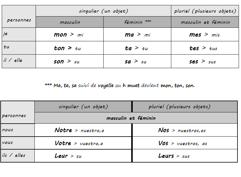 J'aime la langue française: Les adjectifs possessifs