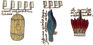 BCR - Year 8 History: Aztec Writing and Counting