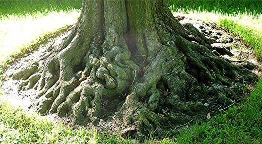 Scott Philbrick: Shapes Shapes Shapes