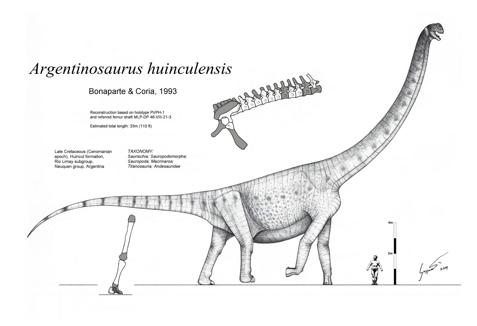 Argentinosaurus - Alchetron, The Free Social Encyclopedia