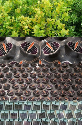 THOUGHTS ON ARCHITECTURE AND URBANISM: Concepts About Biomimicry