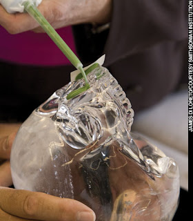 The Club of Compulsive Readers: Fake rock-crystal skulls: the legend