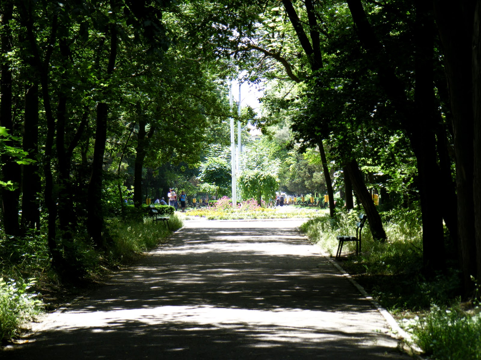 Fotografie: Gradina publica din Barlad