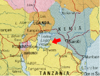 Arqui. Raul Herrera L: Lago victoria